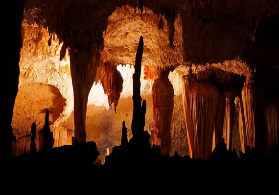 Excursions à Mahajanga, Madagascar | Baobab Tree Hotel & Spa